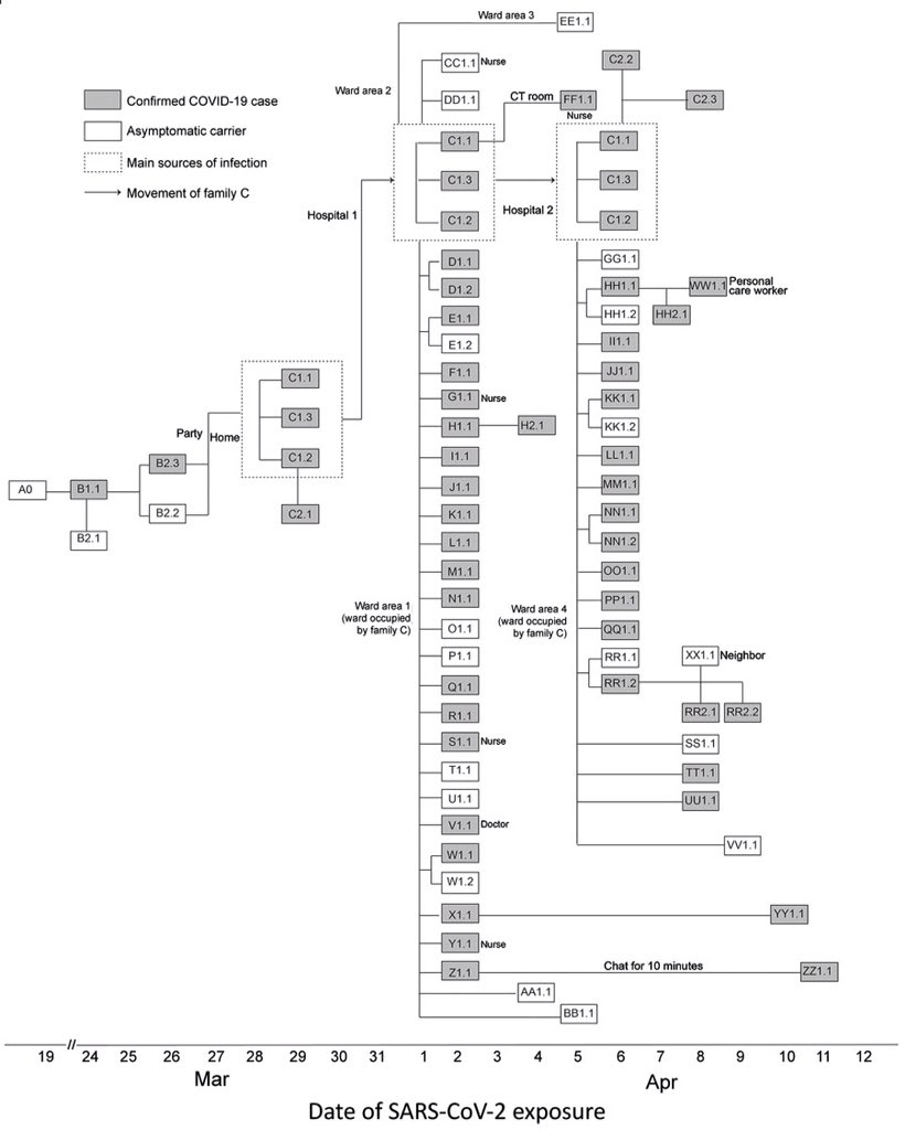 Graphical display of outbreaks: Transmission trees | Science Surf